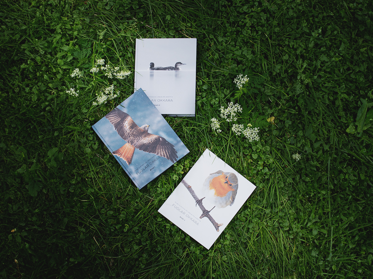 Kærleikin til fuglalív og náttúru drívir verkið - Atlantic Airways